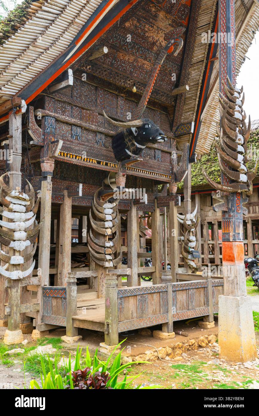 Wooden Buffalo Head & Katik Rooster Symbol Toraja House. The panel ...