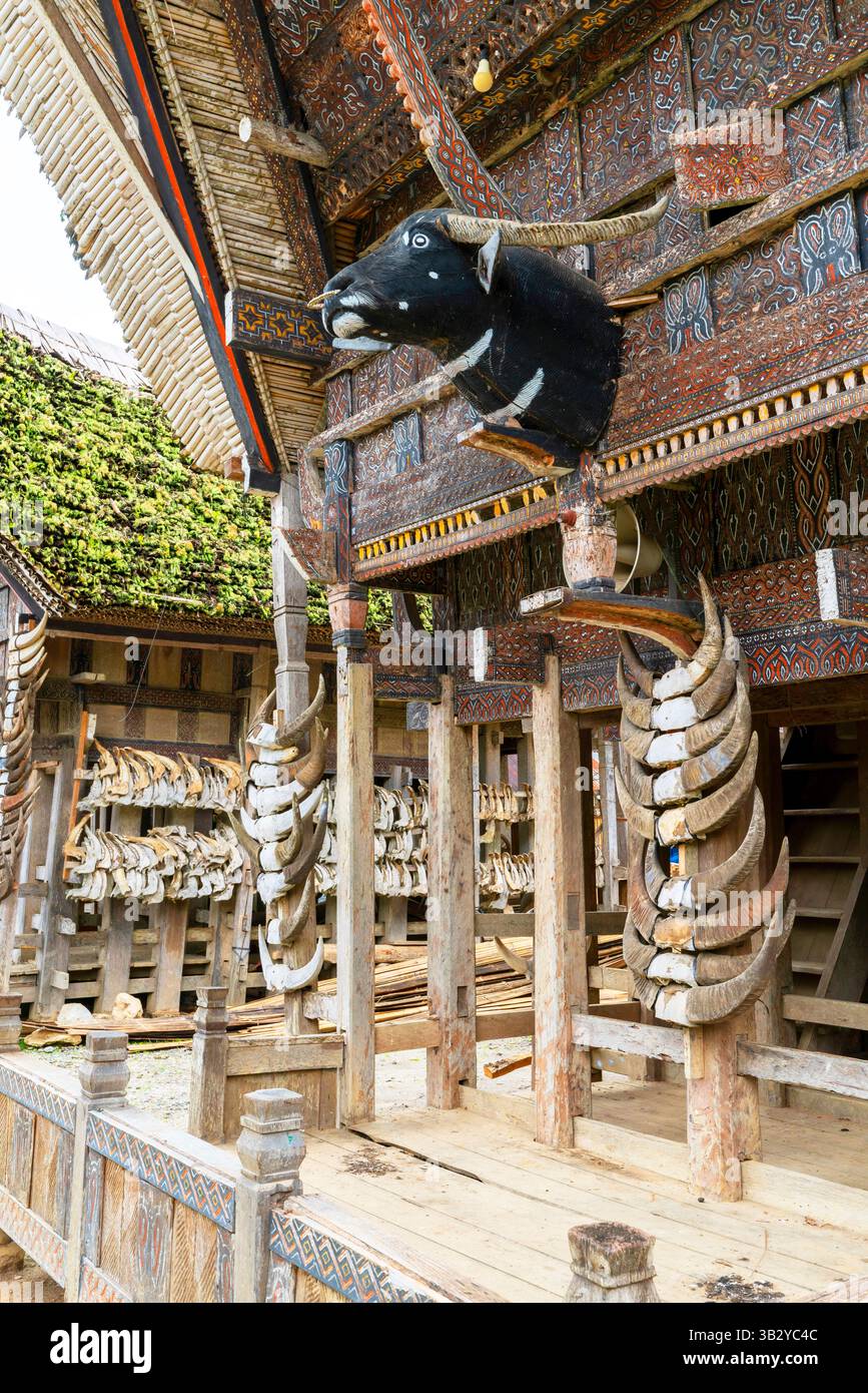 Wooden Buffalo Head & Katik Rooster Symbol Toraja House. The panel ...