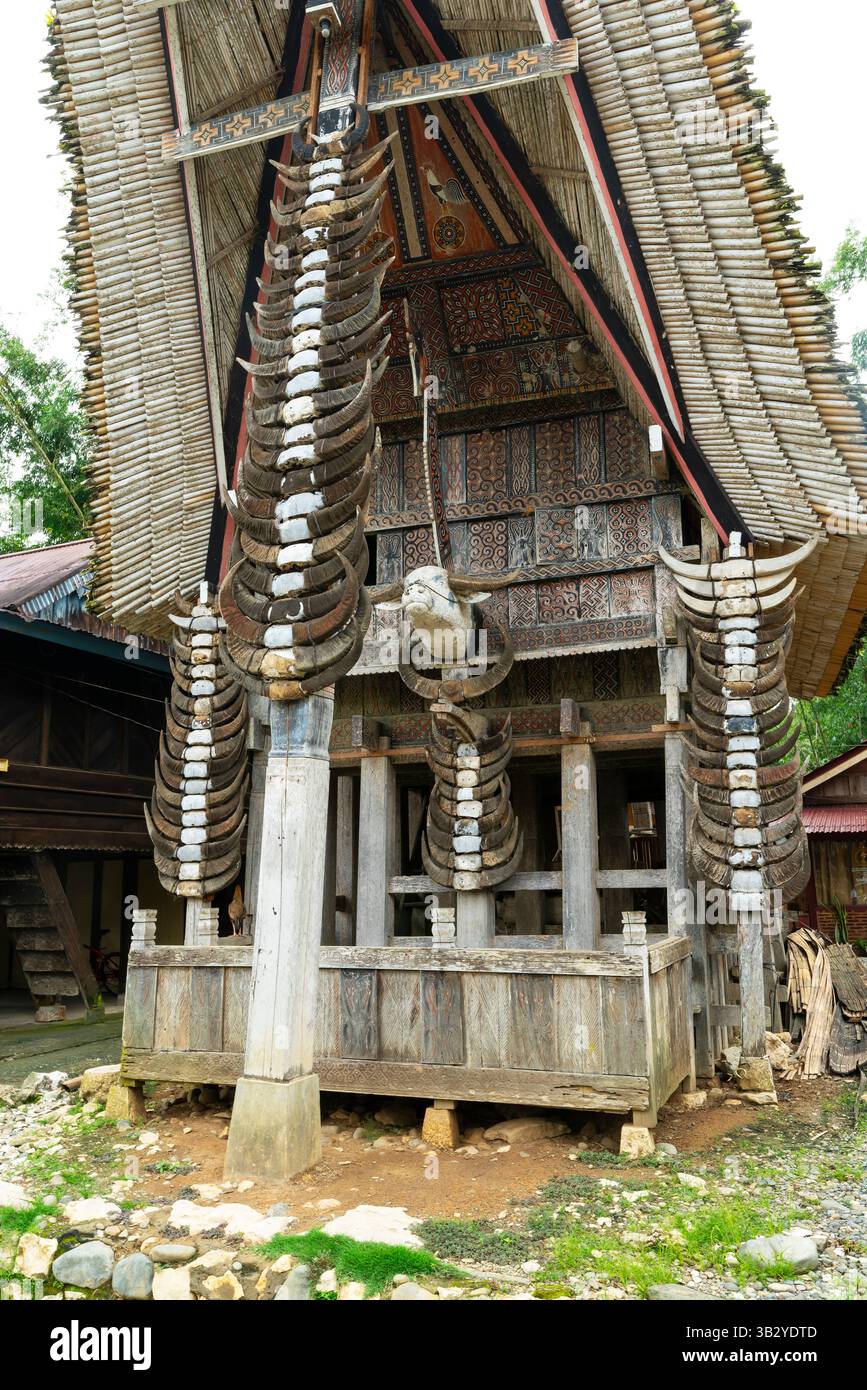 The tongkonan traditional house at Ke'te' Kesu' village in Toraja. The ...