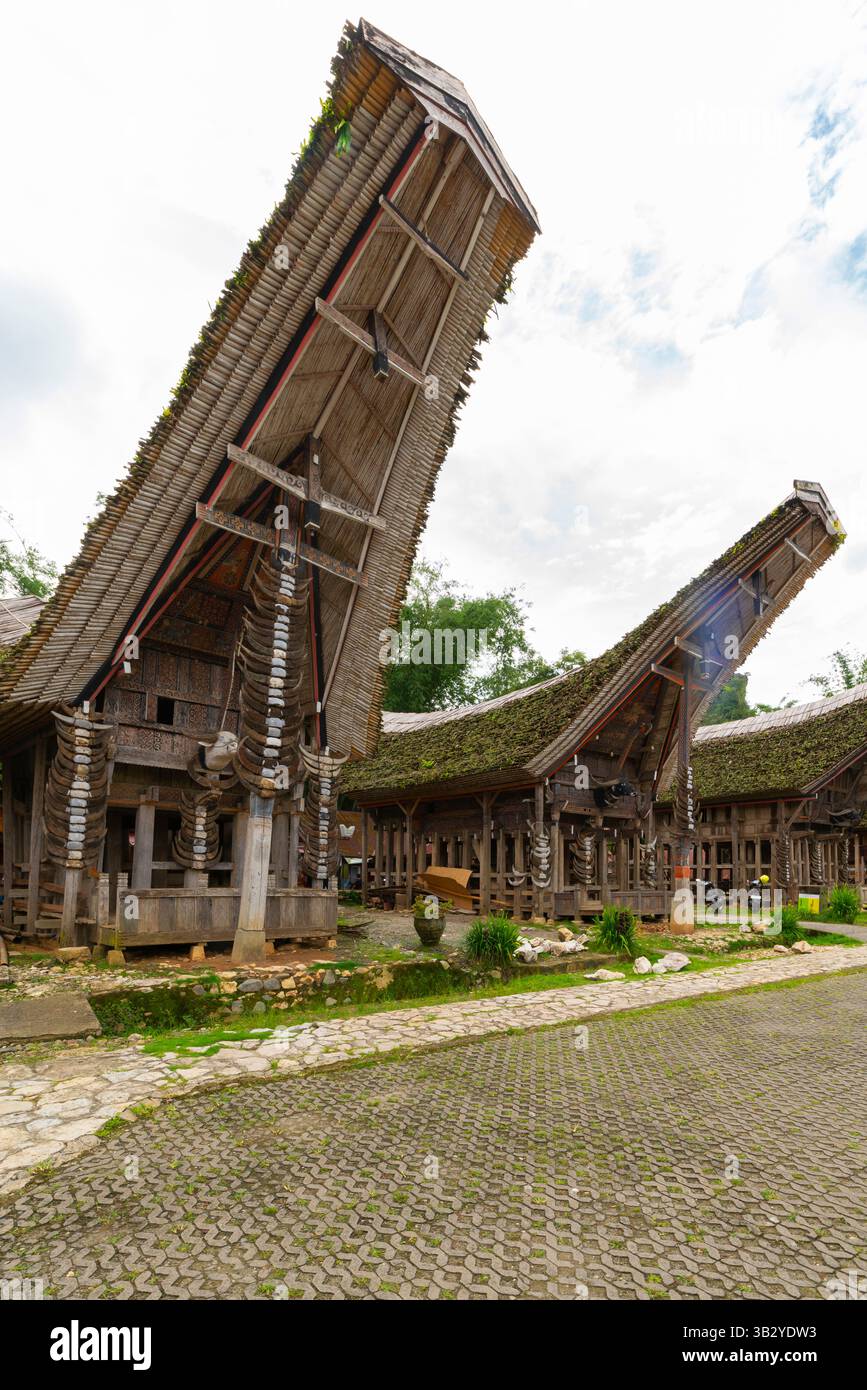 The tongkonan traditional houses at Ke'te' Kesu' village in Toraja. The ...