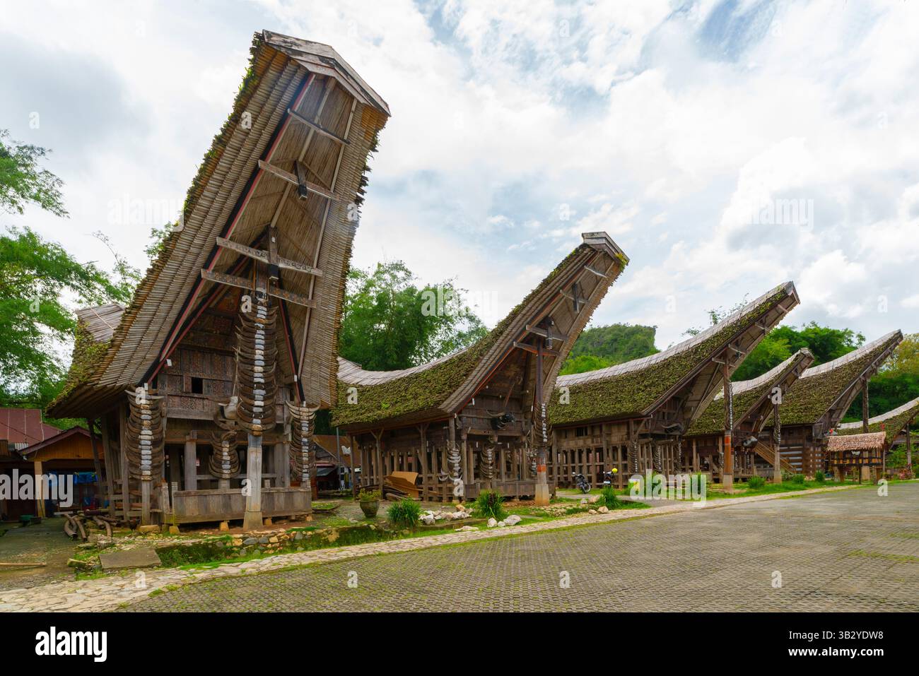The tongkonan traditional houses at Ke'te' Kesu' village in Toraja. The ...