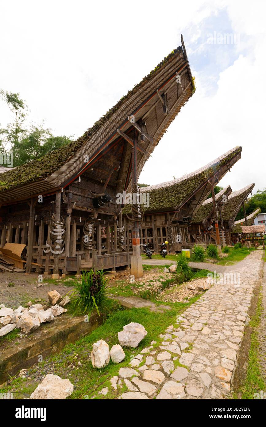 The tongkonan traditional houses at Ke'te' Kesu' village in Toraja. The ...