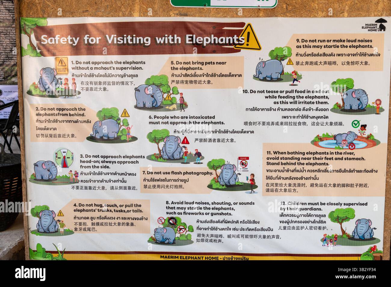 A visitor's elephnat safety poster at the Maerim Elephant Sanctuary or ...