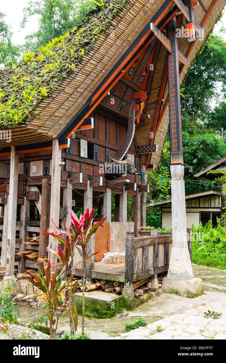 The tongkonan traditional house at Ke'te' Kesu' village in Toraja. The ...
