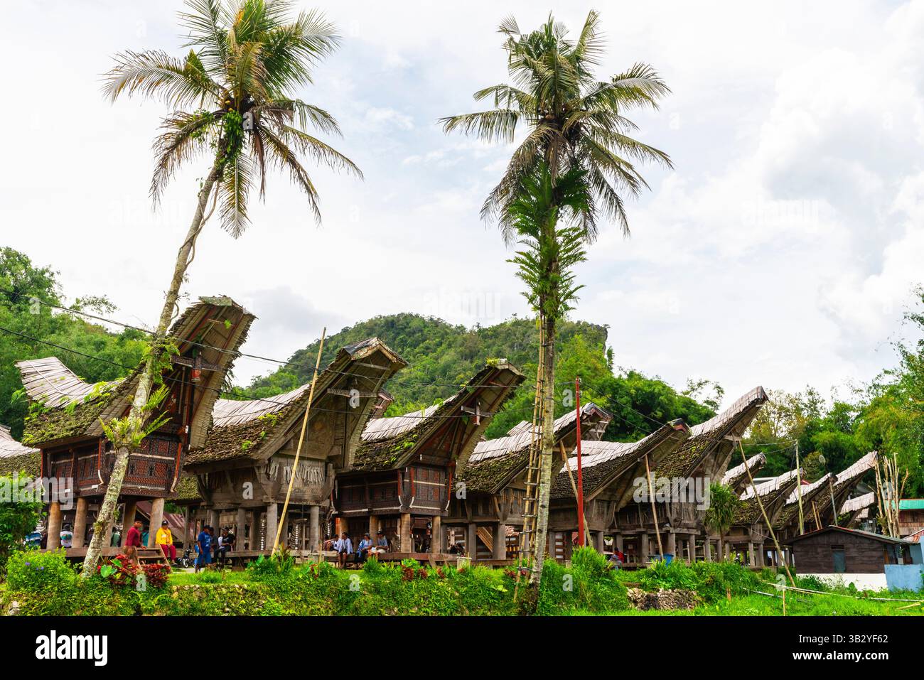 Villagers sitting under tongkonan houses and socializing with each ...