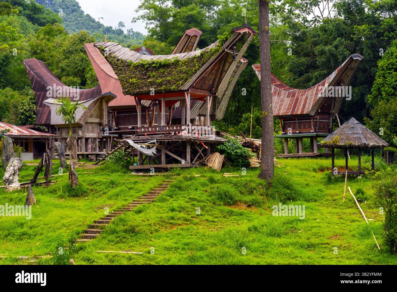 The tongkonan traditional houses at Ke'te' Kesu' village in Toraja. The ...