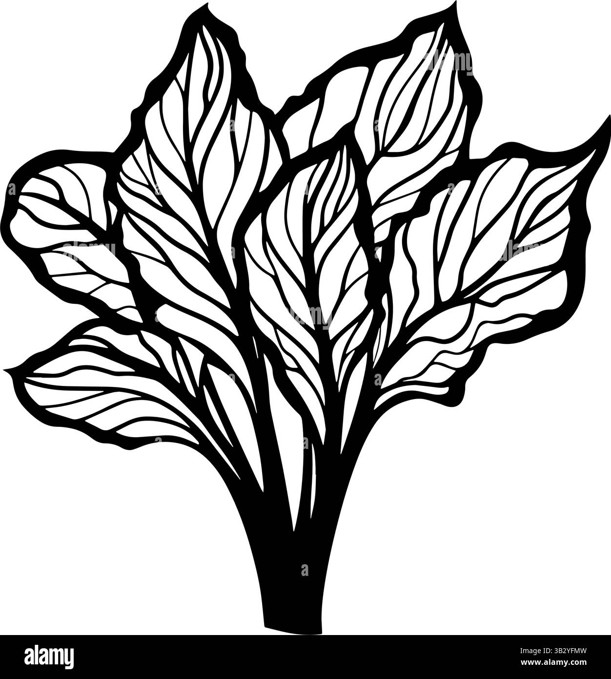 Black and white line art illustration of fresh Swiss chard leaves with ...