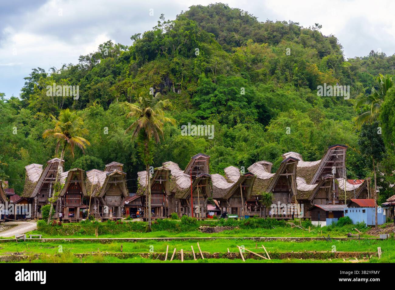 The tongkonan traditional houses at Ke'te' Kesu' village in Toraja. The ...