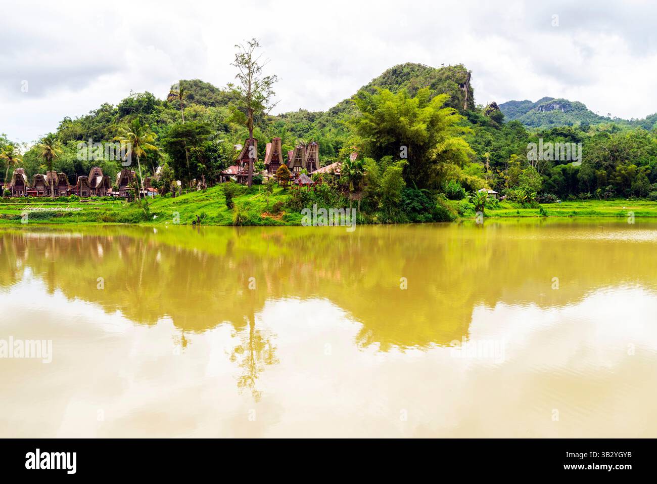Ke'te' Kesu' village in Toraja landscape. The tongkonan at Ke'te' Kesu ...