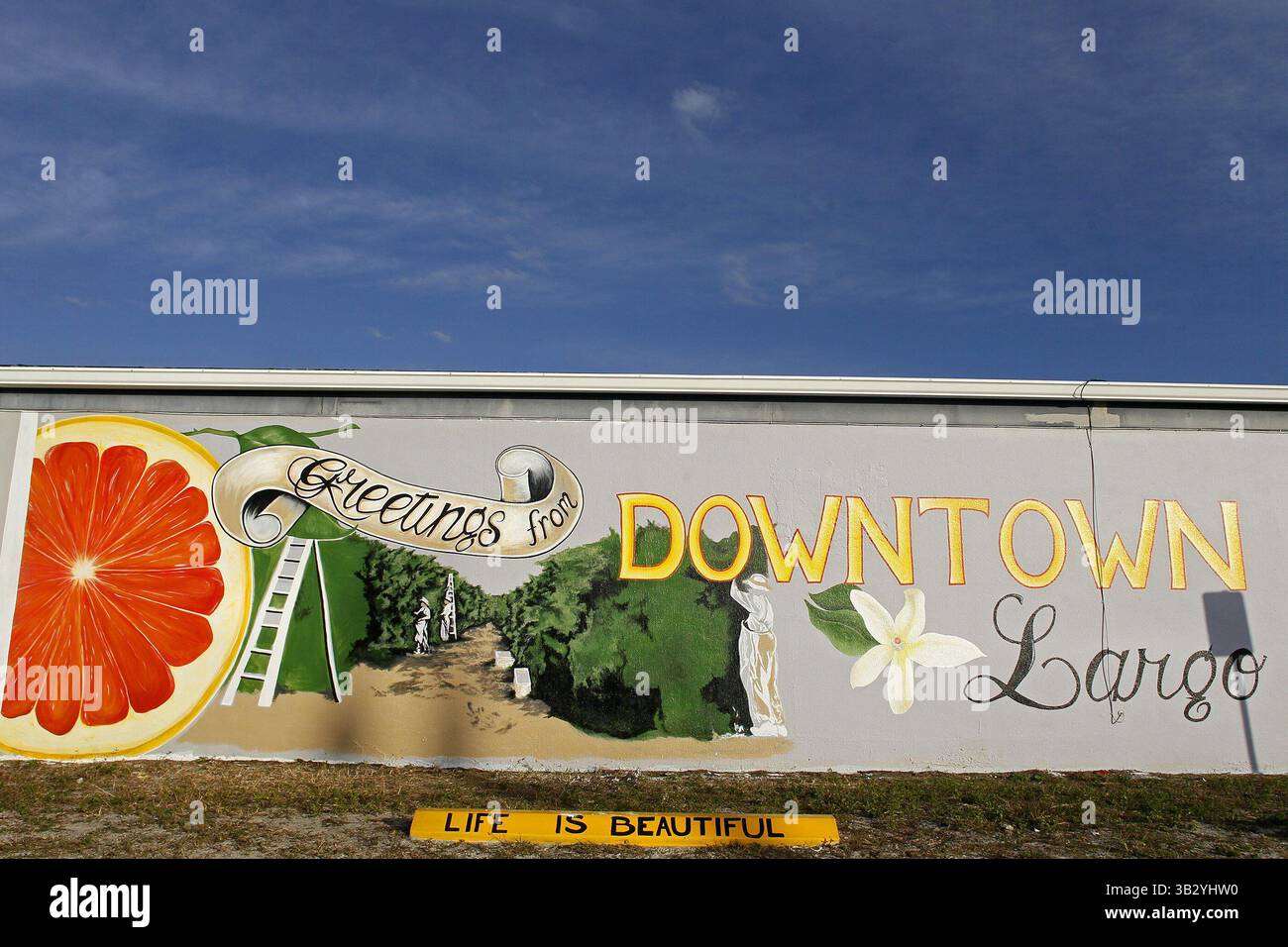 Nov. 30, 2015 - Largo, Florida, U.S. - JIM DAMASKE | Times .The city of ...