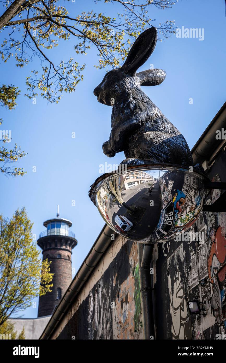 Der schwarze hase hi-res stock photography and images - Alamy