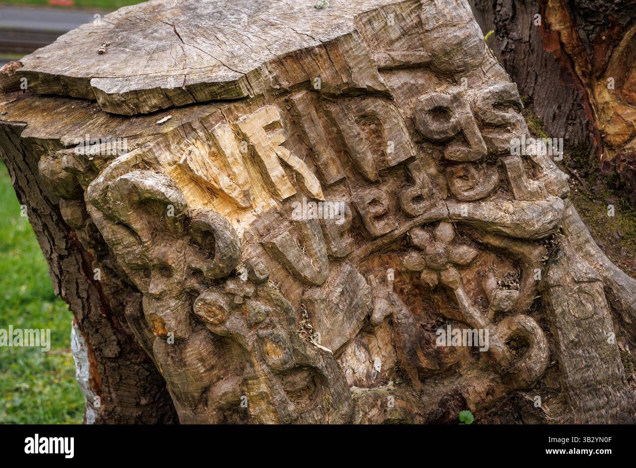 tree stump with carvings near the Severins bridge, lettering ...