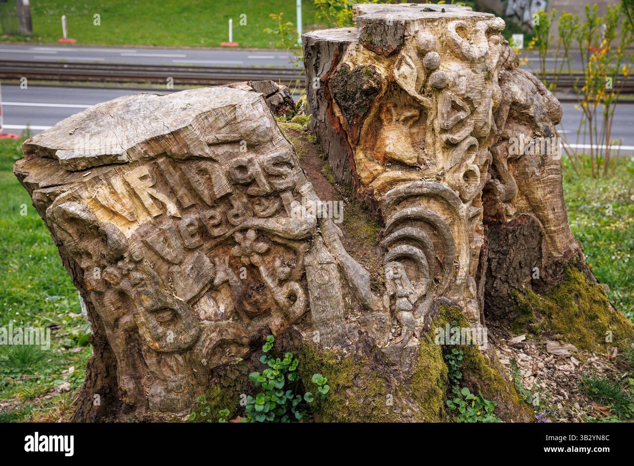 tree stump with carvings near the Severins bridge, Cologne, Germany ...