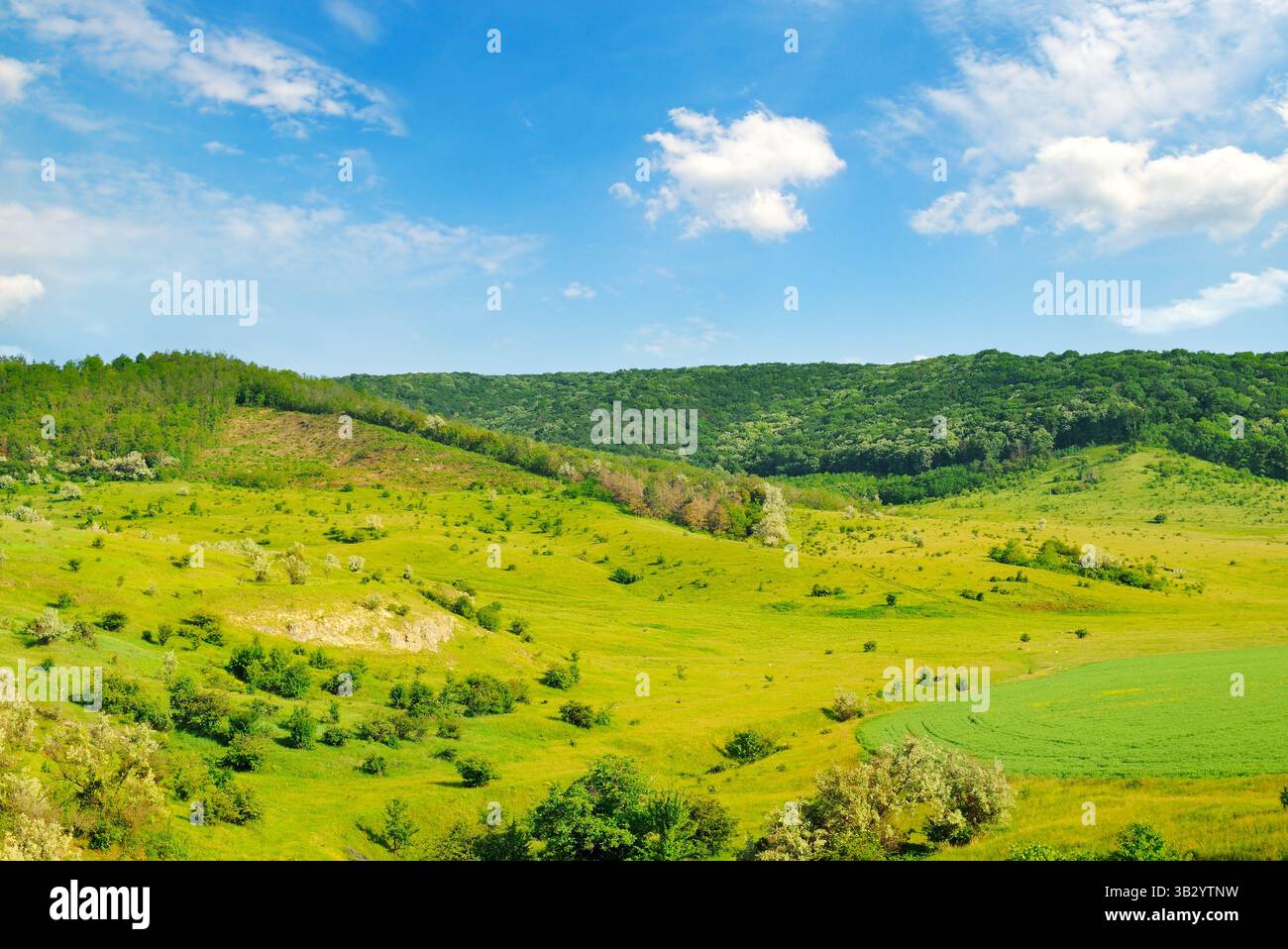Hilly green fields with trees and shrubs. There are beautiful clouds on ...