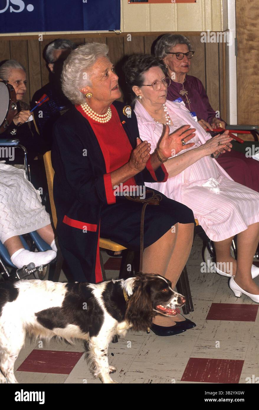 Jeb the dog hi-res stock photography and images - Alamy