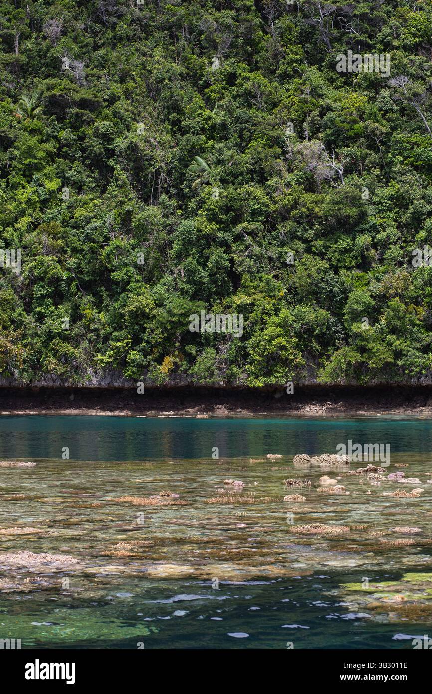 Tropical jungle cliffs and turquoise sea in South Raja Ampat, Indonesia ...