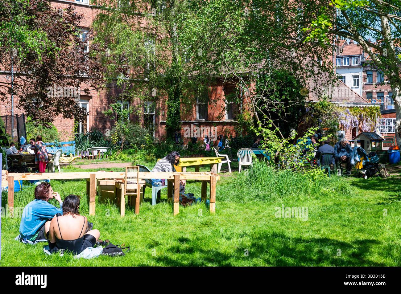 Green garden and inner court of local center for culture Mona in a ...