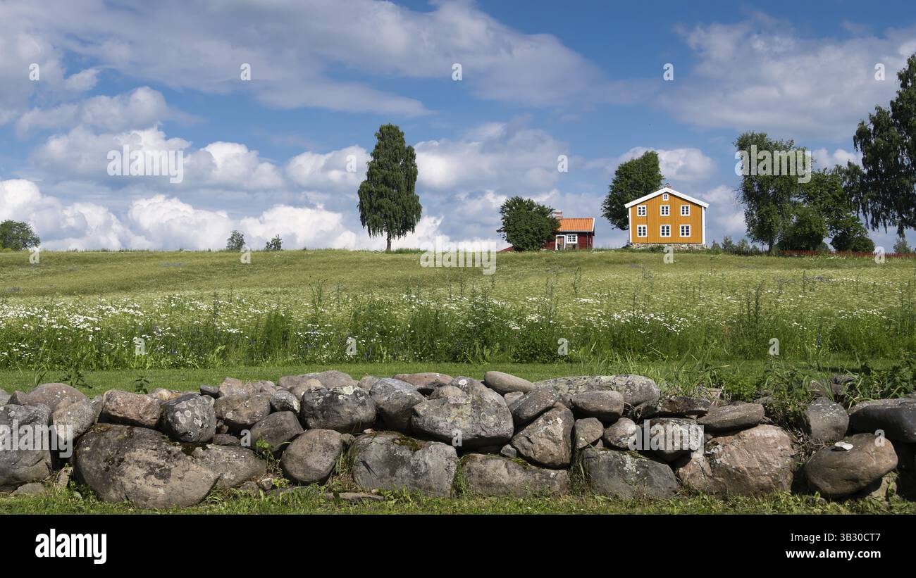 Falun red and Swedish yellow wooden house, stone wall, trees, meadow ...
