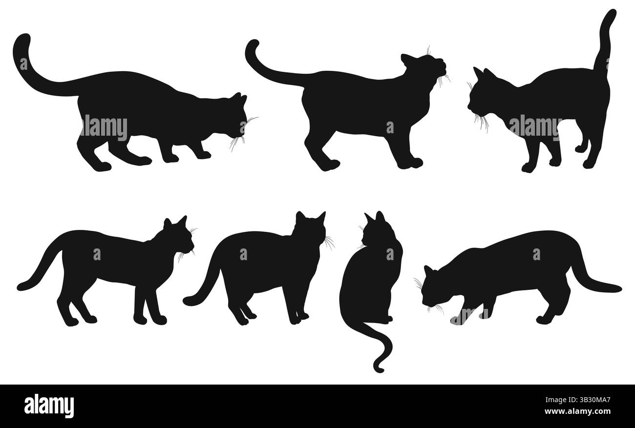Cats silhouette icon or symbol set. Collection of cats silhouettes in ...