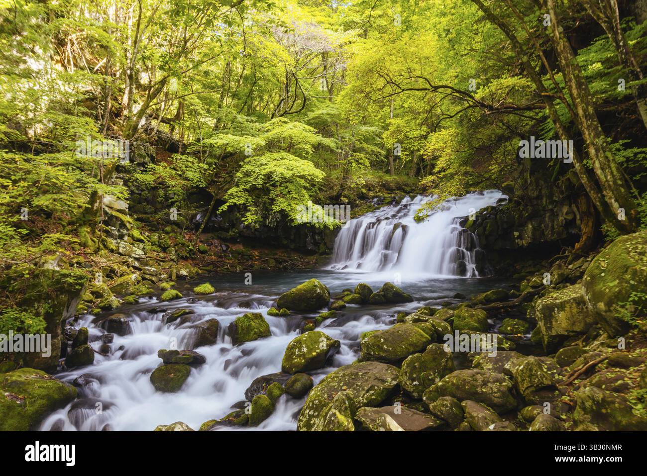 The magnificent Tateshina Otaki Falls on the famous Venus Line road ...