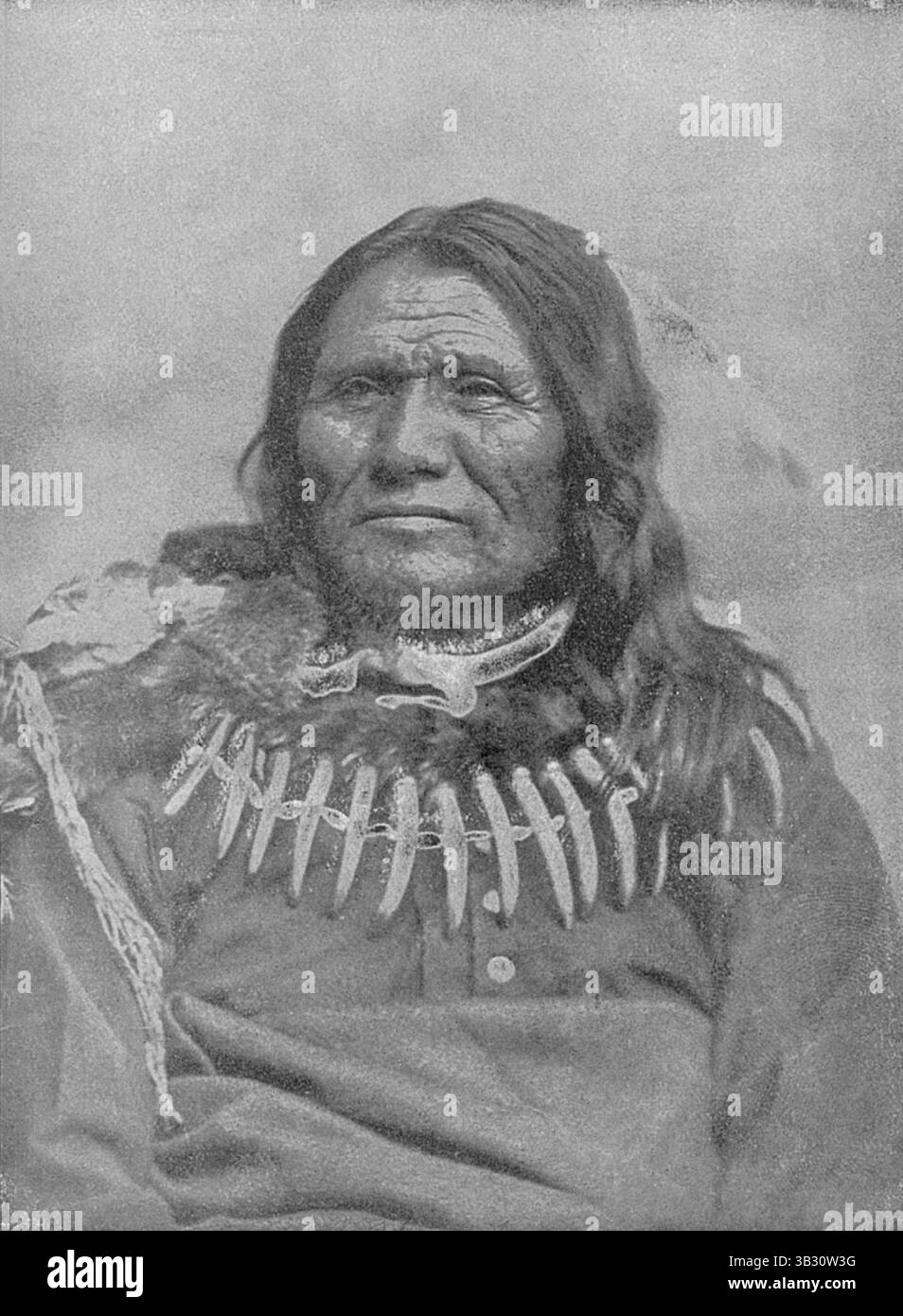 Chief henry standing bear hi-res stock photography and images - Alamy