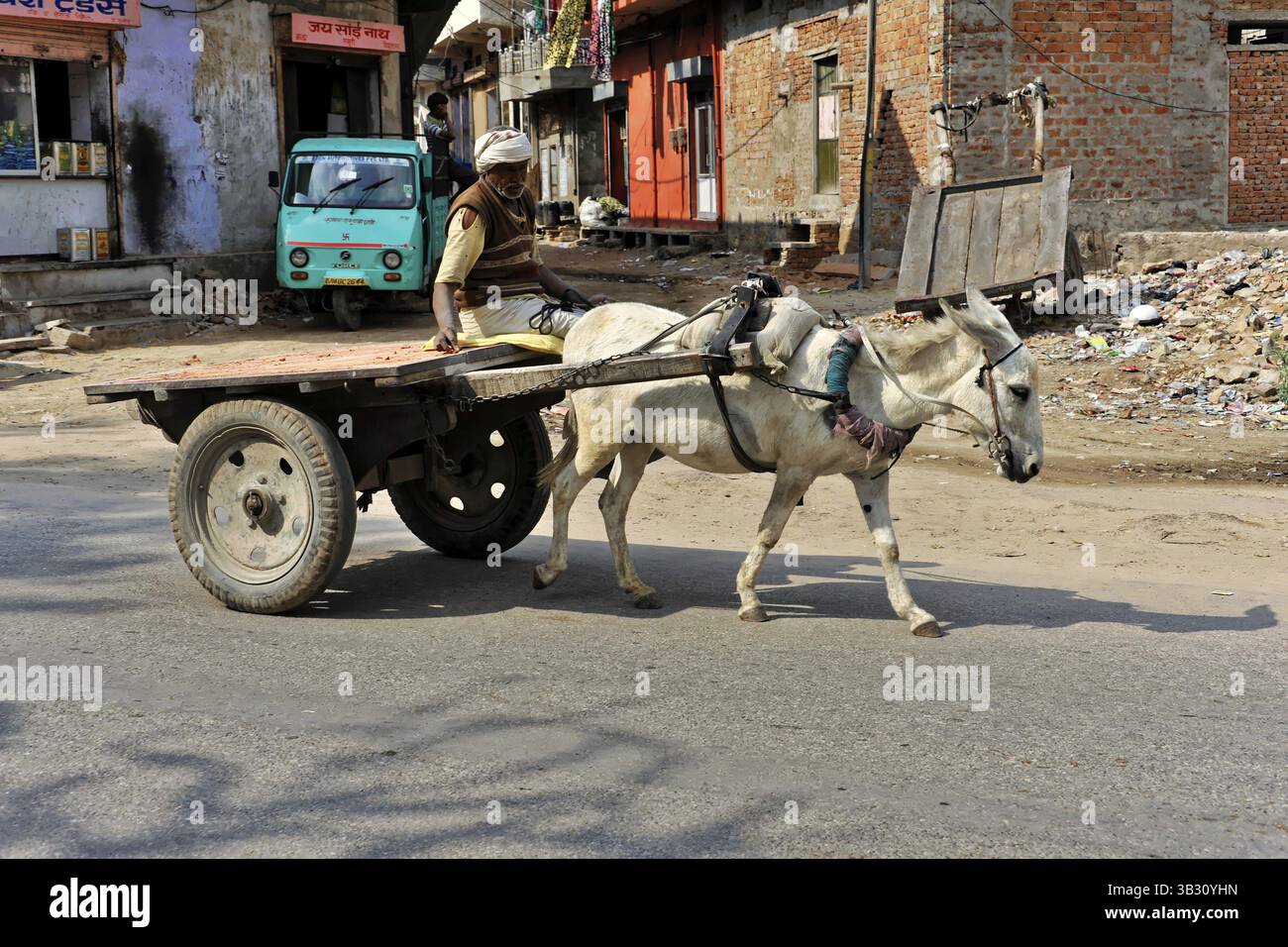 Fort Amber, Amber, near Jaipur, Rajasthan, North India, India, Asia ...