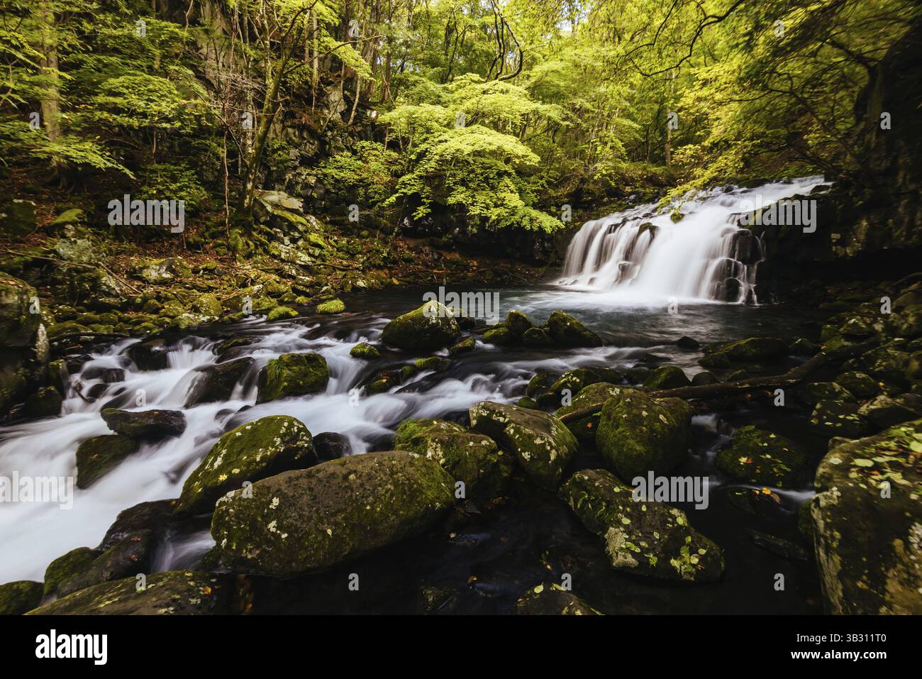 The magnificent Tateshina Otaki Falls on the famous Venus Line road ...