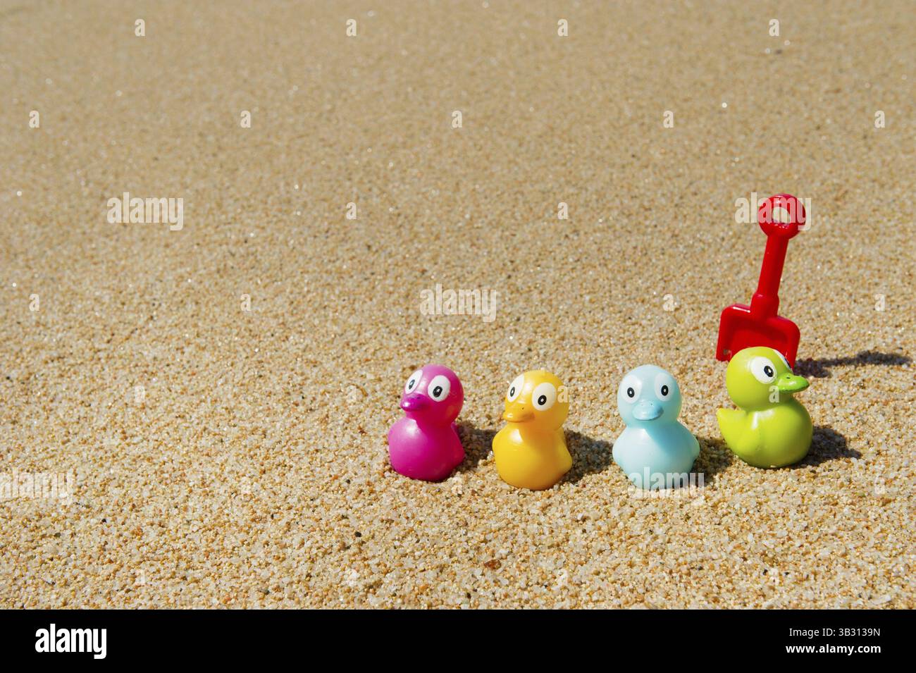 Colorful toy ducks in the sand at the beach Stock Photo - Alamy