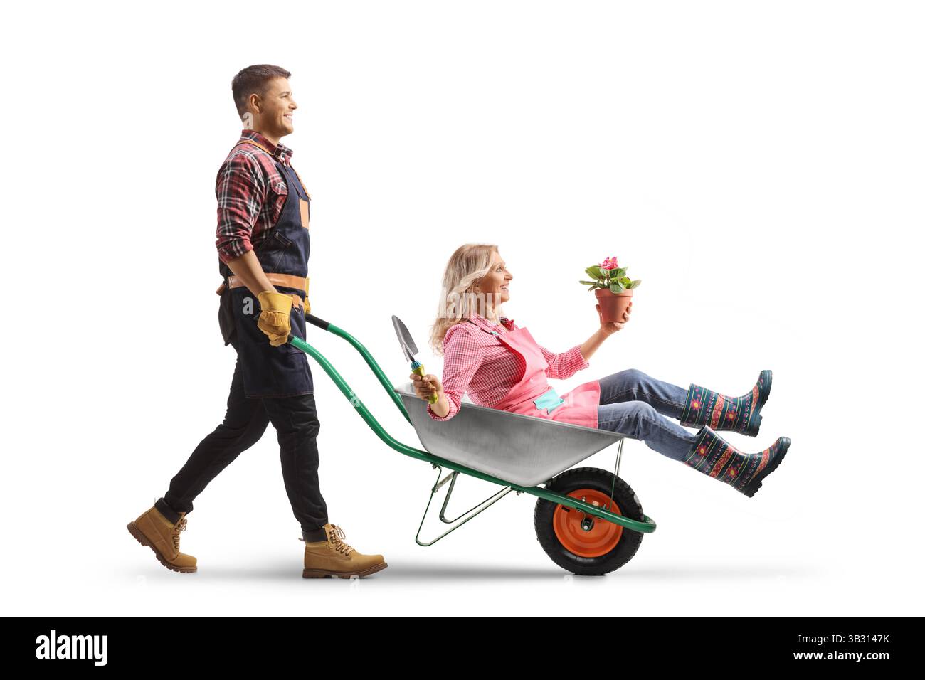 Gardener pushing a woman inside a wheelbarrow isolated on white ...