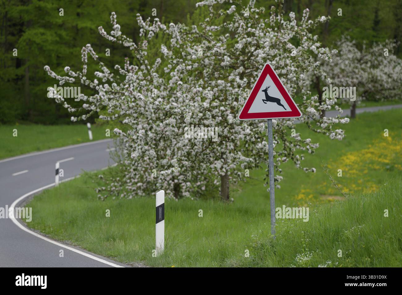 Caution wildlife crossing, traffic information, warning sign, warning ...