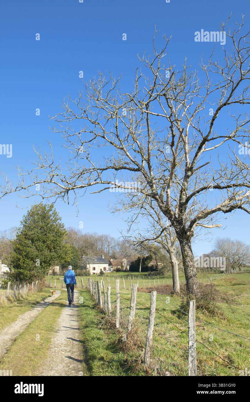 1 man landscape hi-res stock photography and images - Alamy