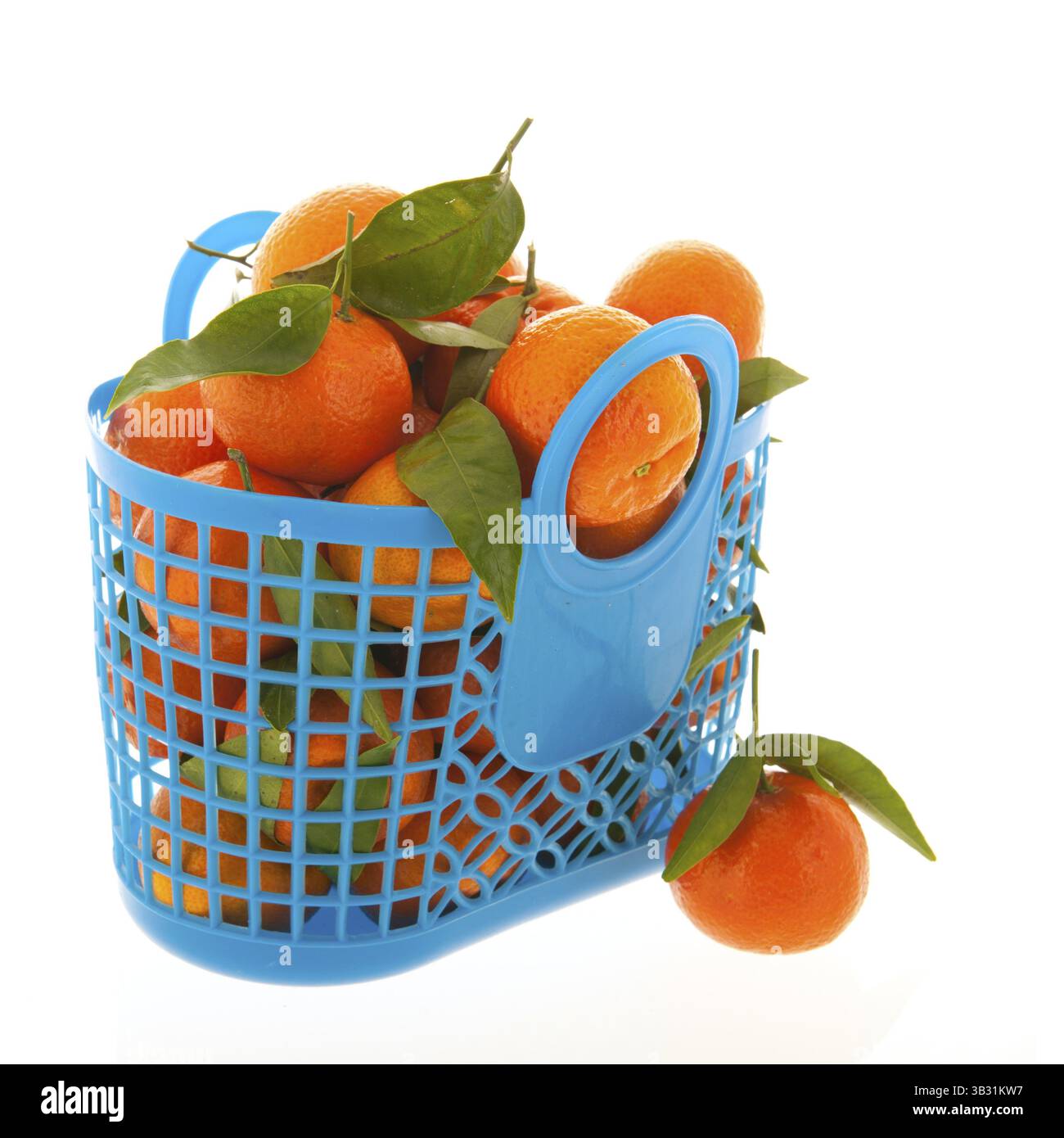 Tangerines with leafs in blue plastic bag isolated over white ...