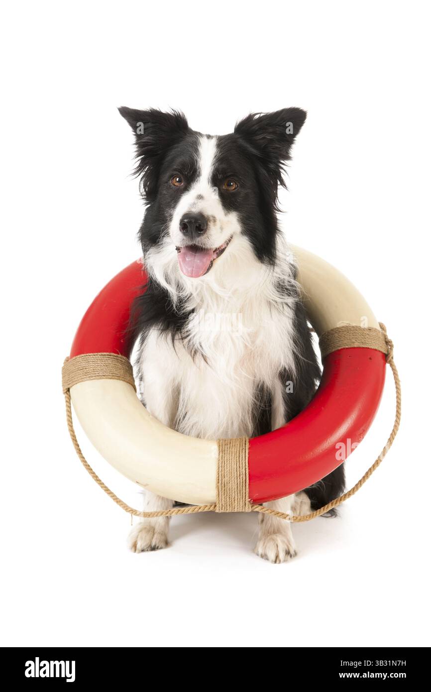 Border buoys Cut Out Stock Images & Pictures - Alamy