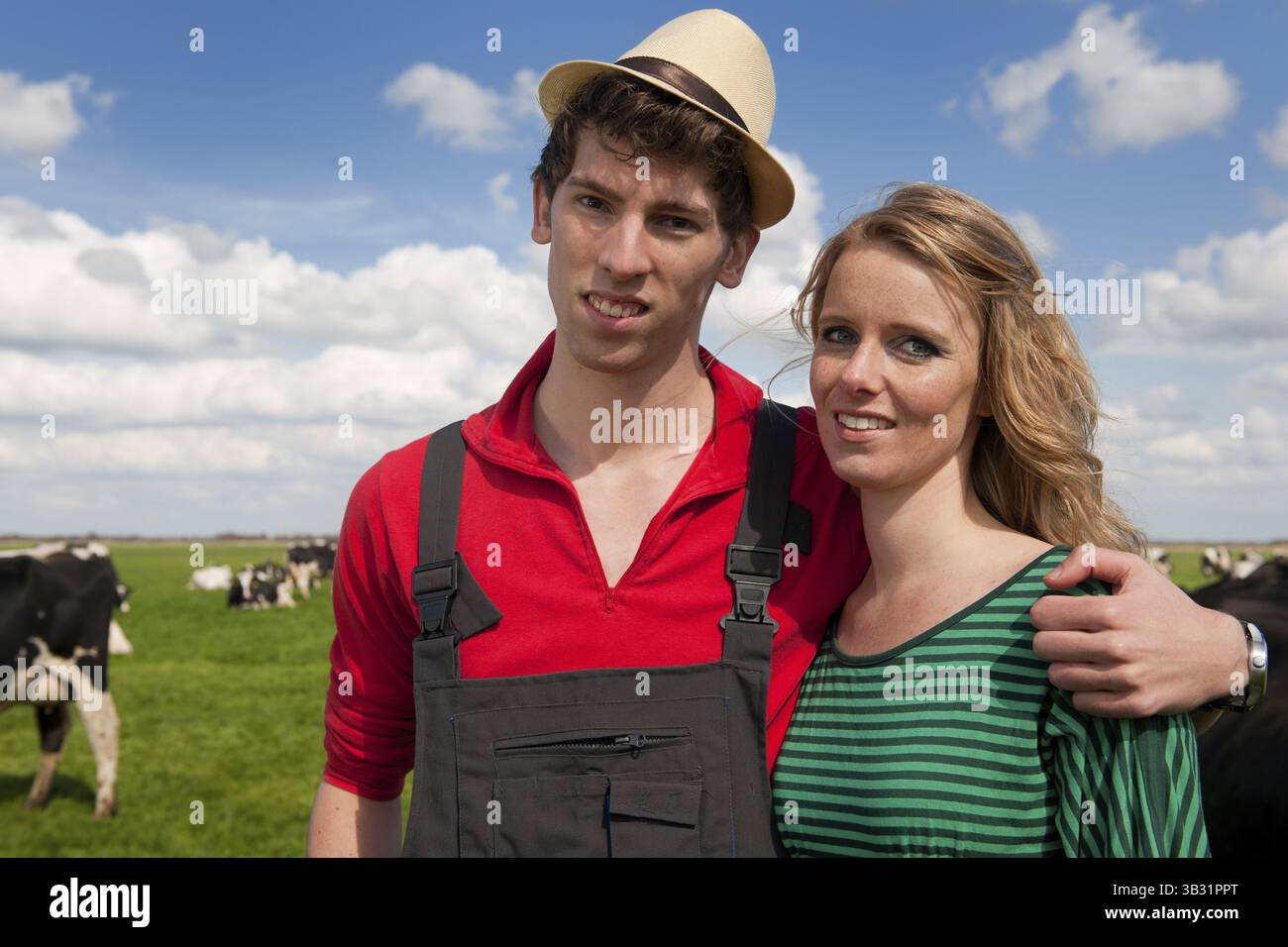 Typical Dutch landscape with farmers and black and white cows in the ...