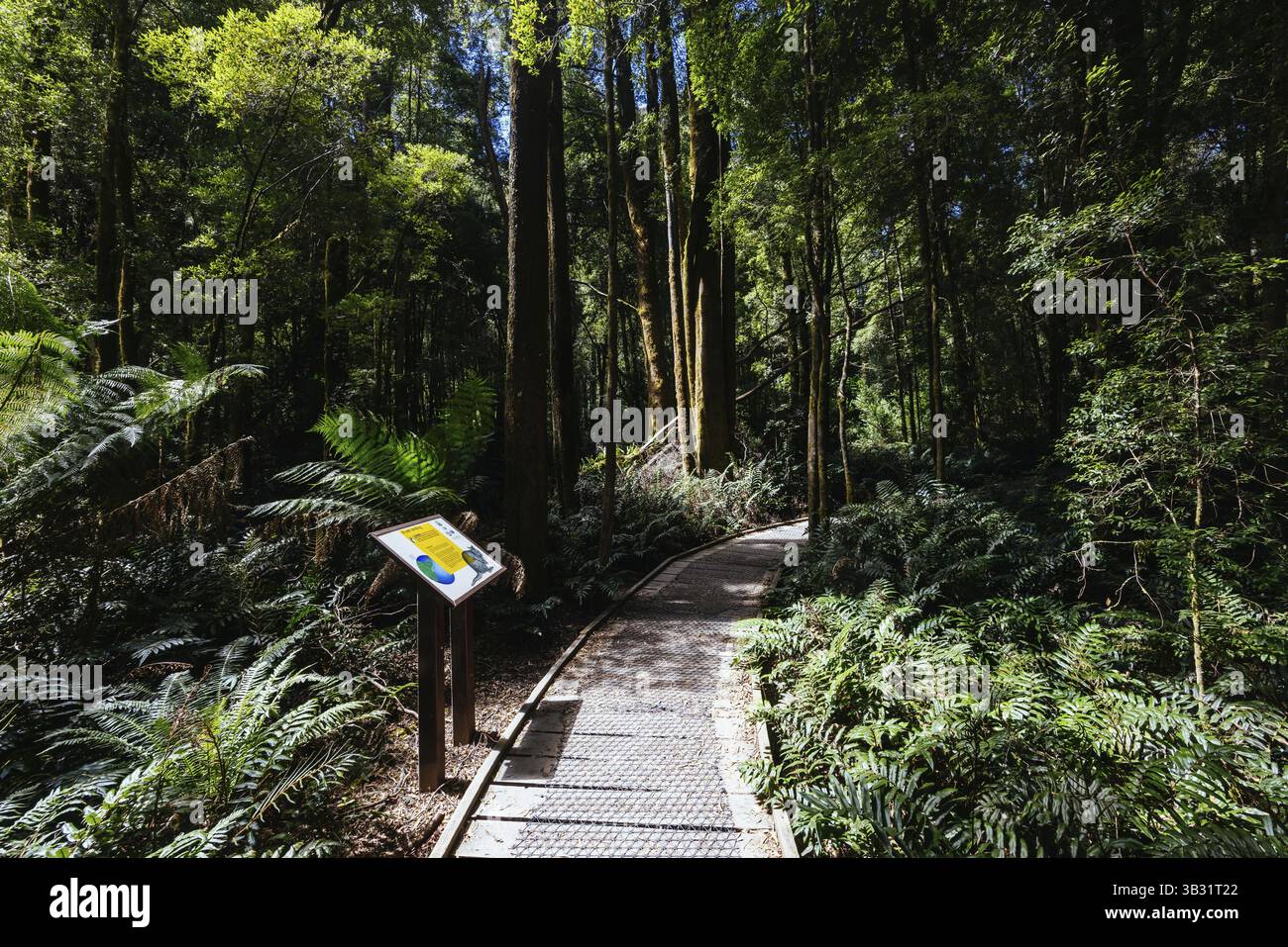 The majestic Nelson Falls and surrounding landscape in Franklin-Gordon ...