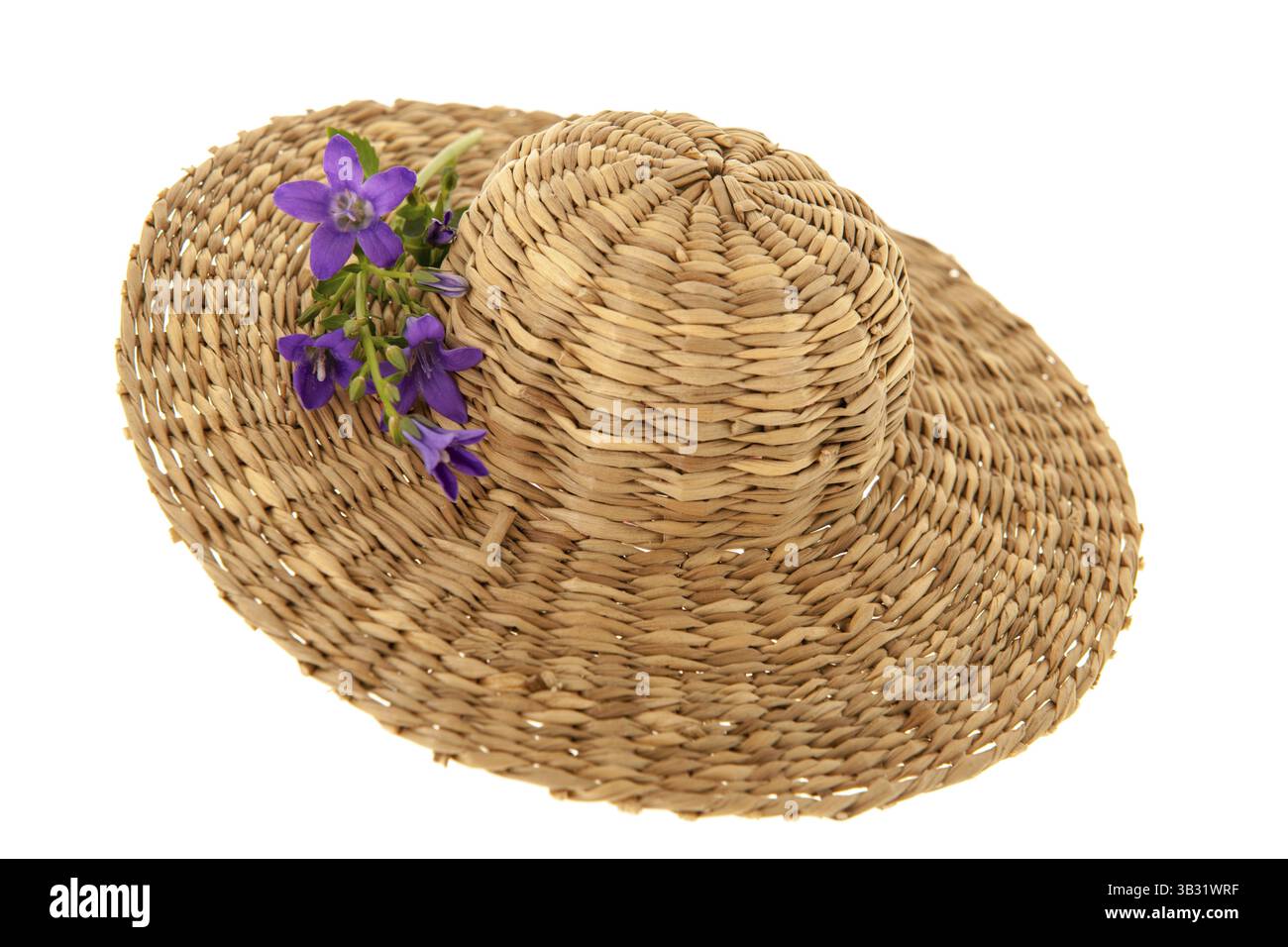 Light purple blooms Cut Out Stock Images & Pictures - Alamy