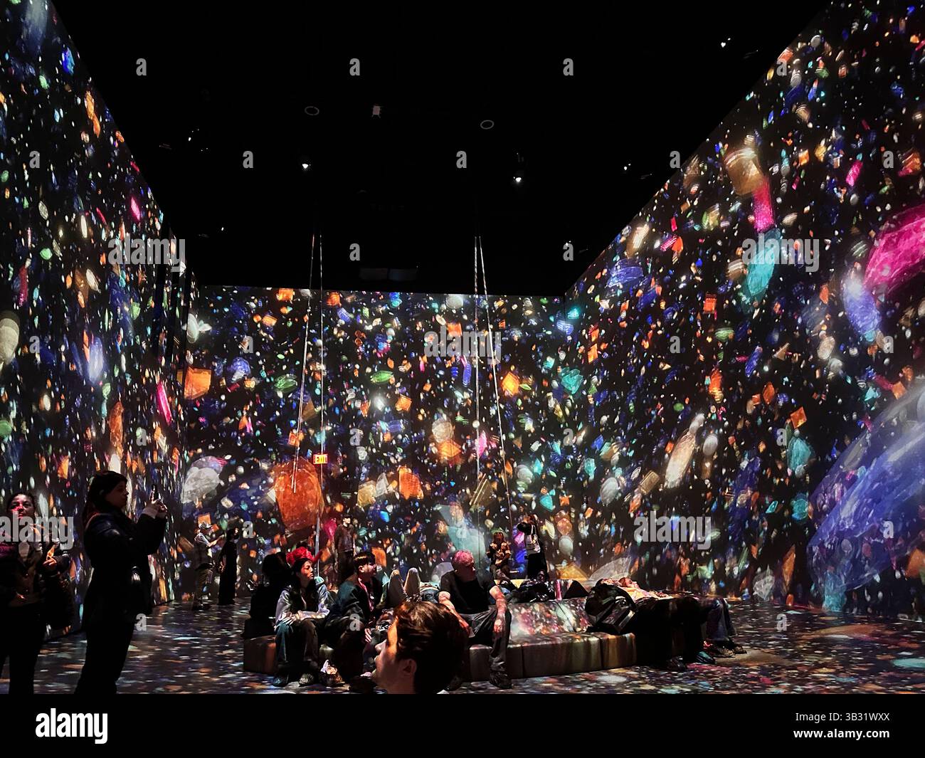 New York, United States. 27th Apr, 2025. Mercer Labs Museum of Art and ...