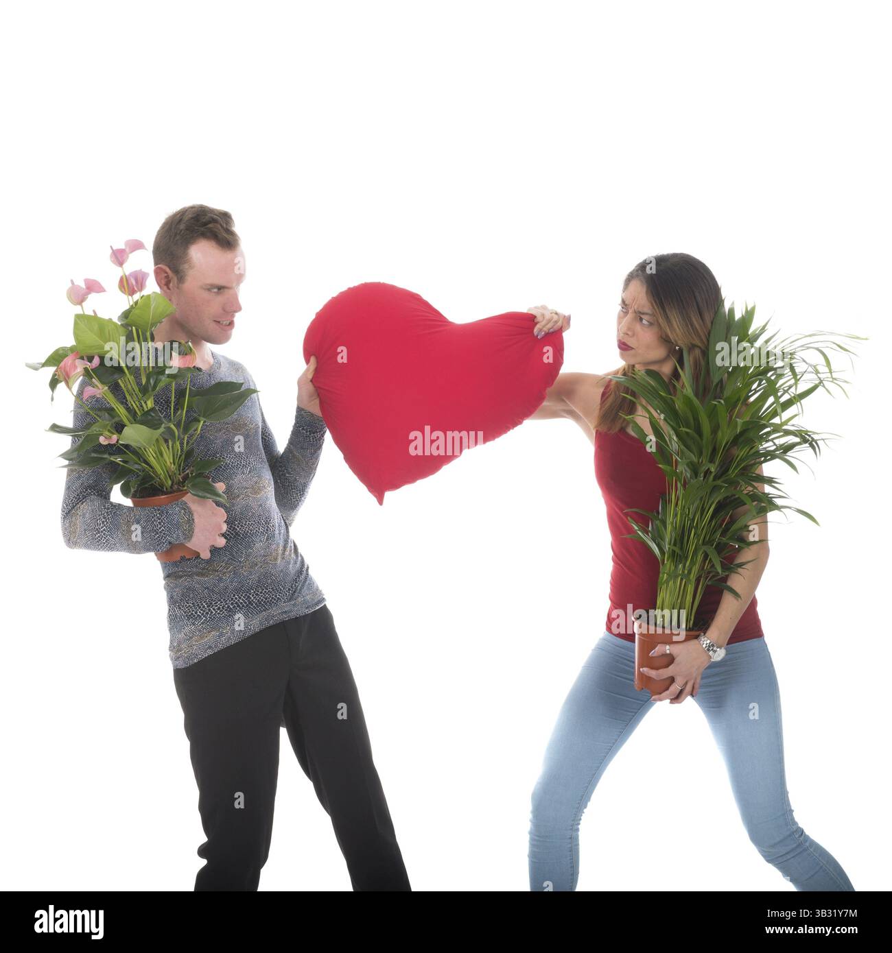 Fighting house Cut Out Stock Images & Pictures - Alamy