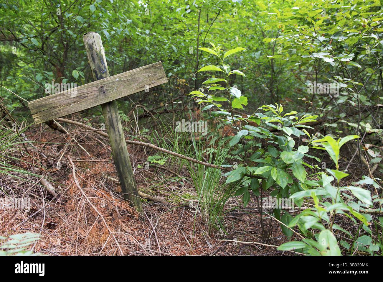 Simple wooden crosses graves hi-res stock photography and images - Alamy