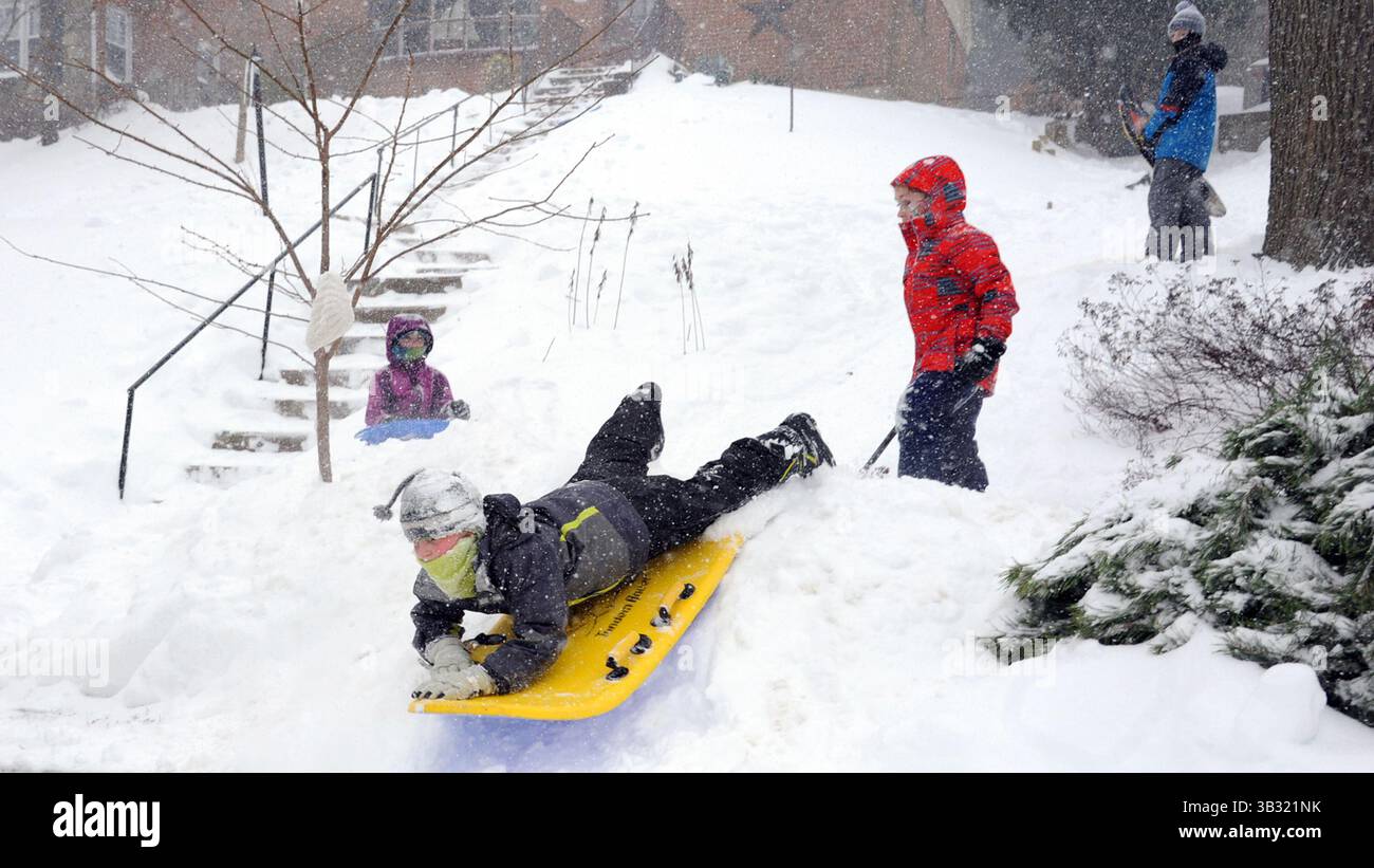 Jan. 23, 2016 - Baltimore, MD, USA - Sledding on the McCloskey front ...