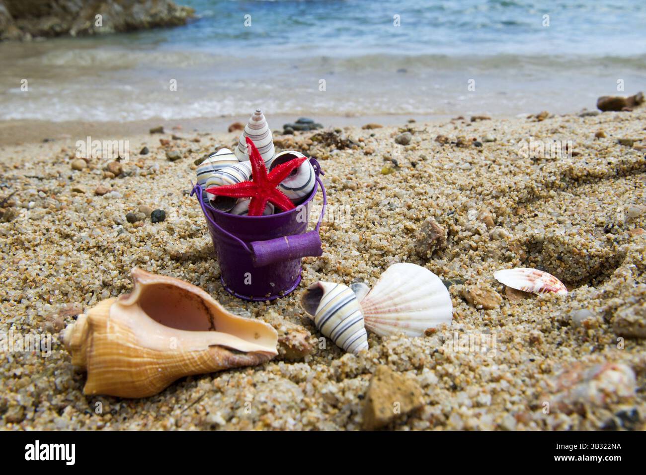 Orange coloured shells hi-res stock photography and images - Alamy
