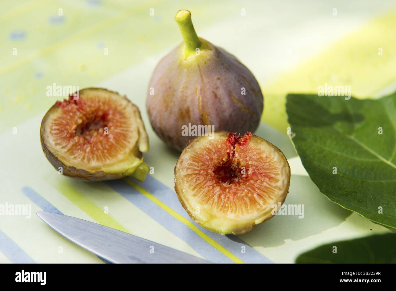 Still life outdoor in the sun with figs Stock Photo - Alamy