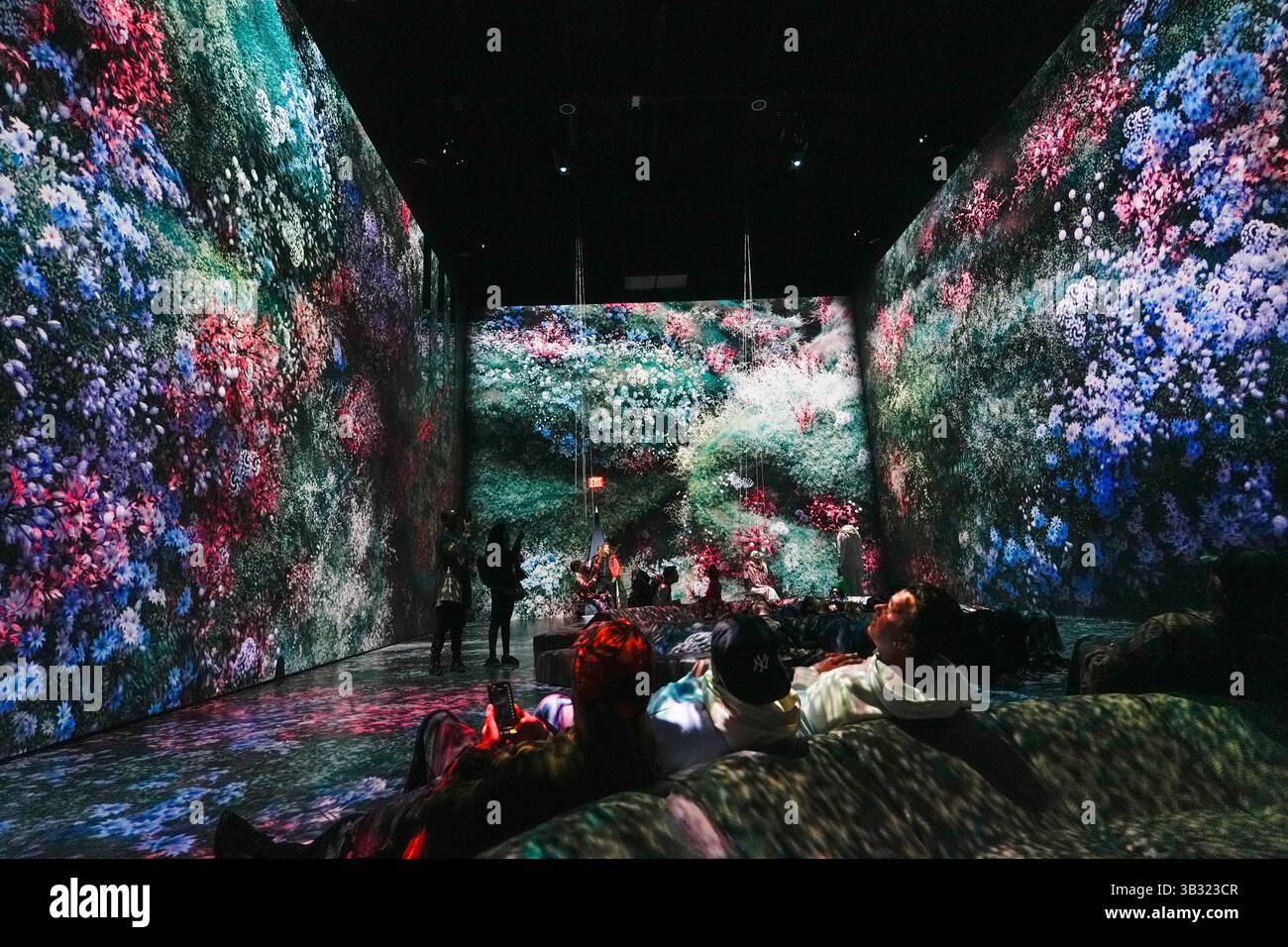 Mercer Labs Museum of Art and Technology presents Maestros and the ...