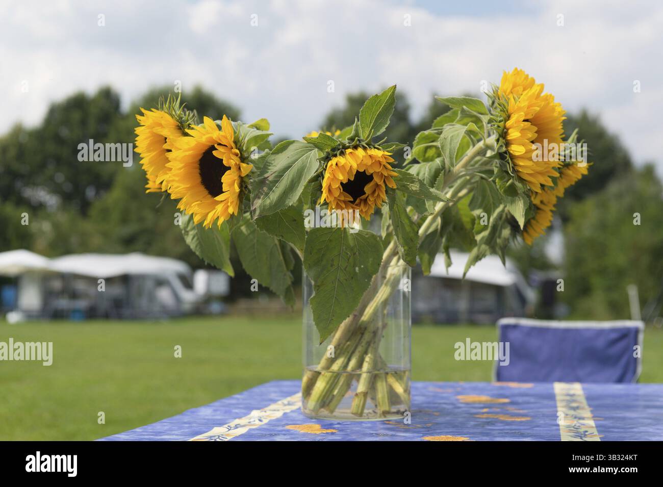Dutch nature camp site hi-res stock photography and images - Alamy