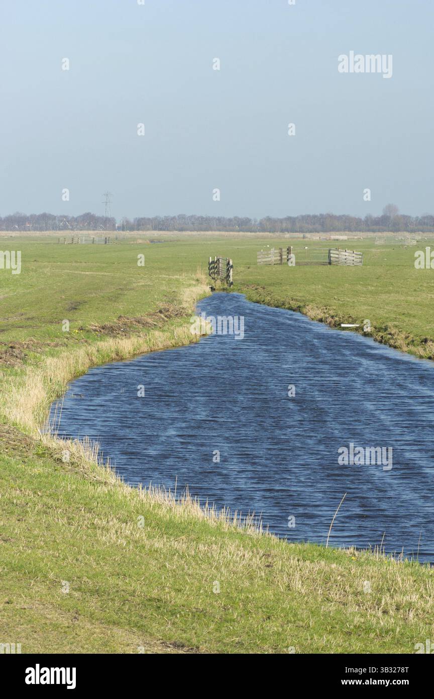 Dutch landscape with ditch and grass meadows Stock Photo - Alamy