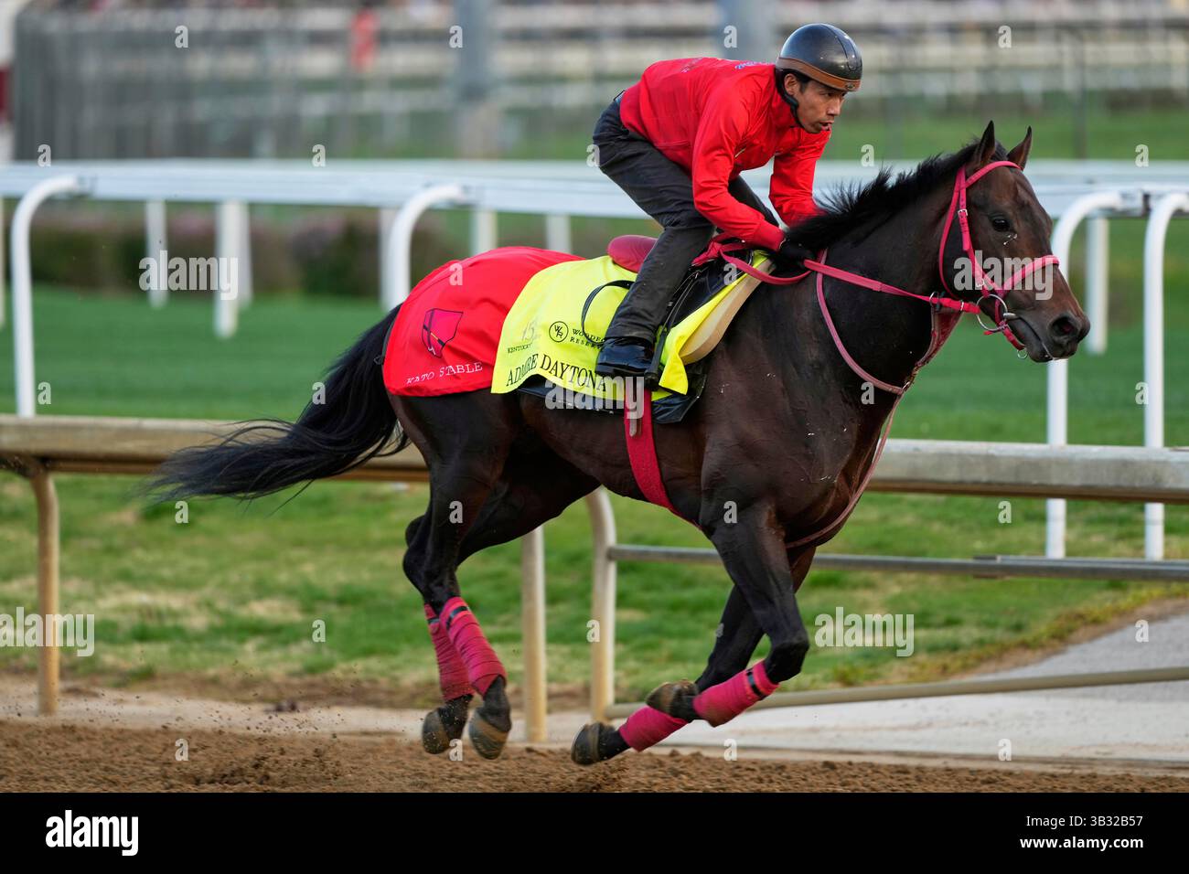 Kentucky Derby hopeful Admire Daytona works out at Churchill Downs ...