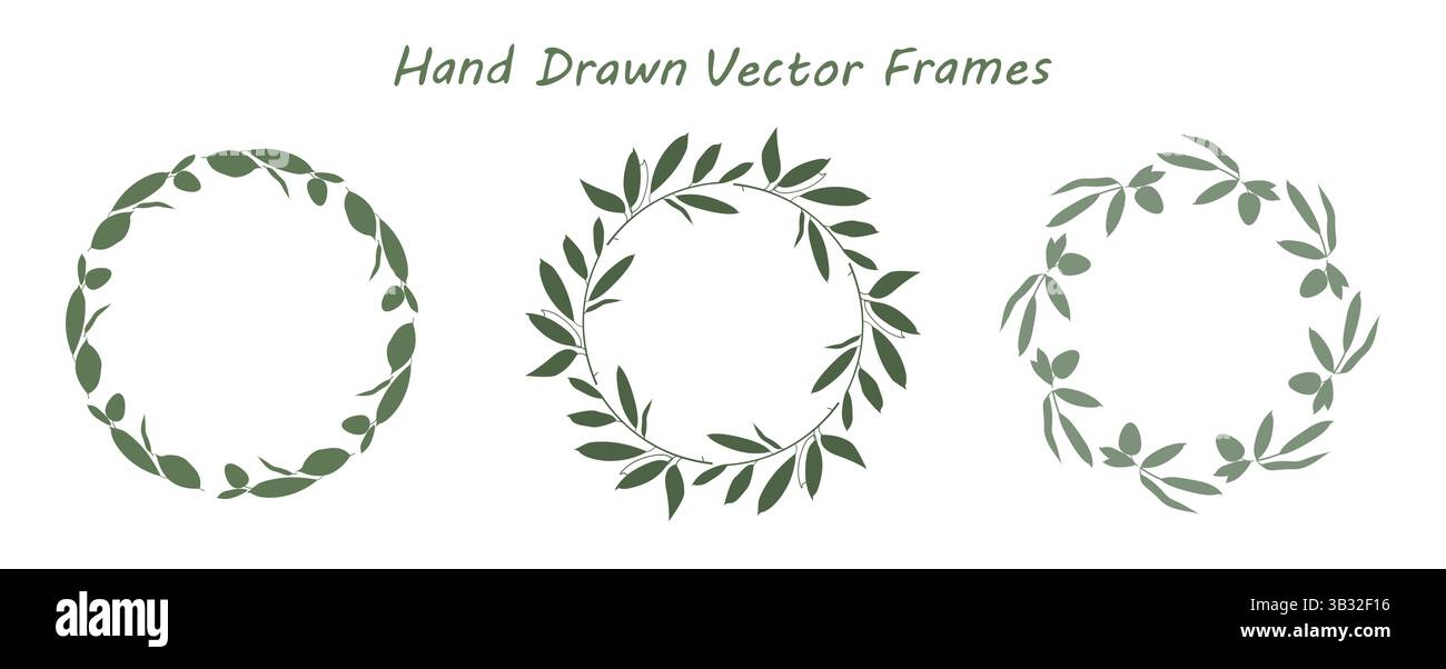Olive plant branch frame set, circle shape border. Hand drawn doodle ...