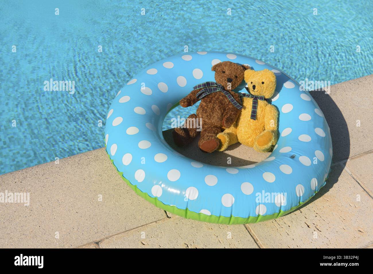 Two toy bears in inflatable toy in swimming pool Stock Photo - Alamy