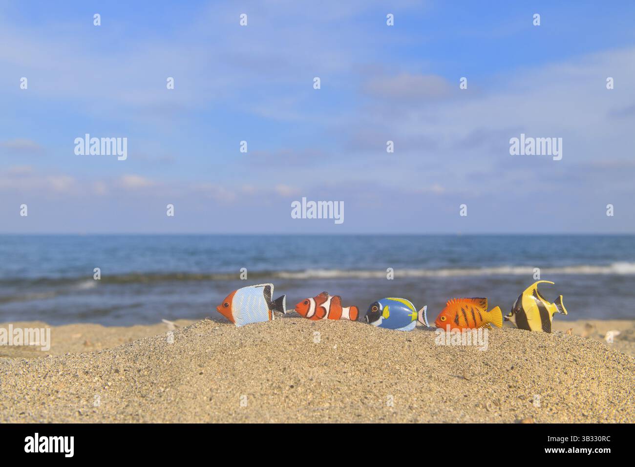 Many tropical fishes at the summer beach Stock Photo - Alamy