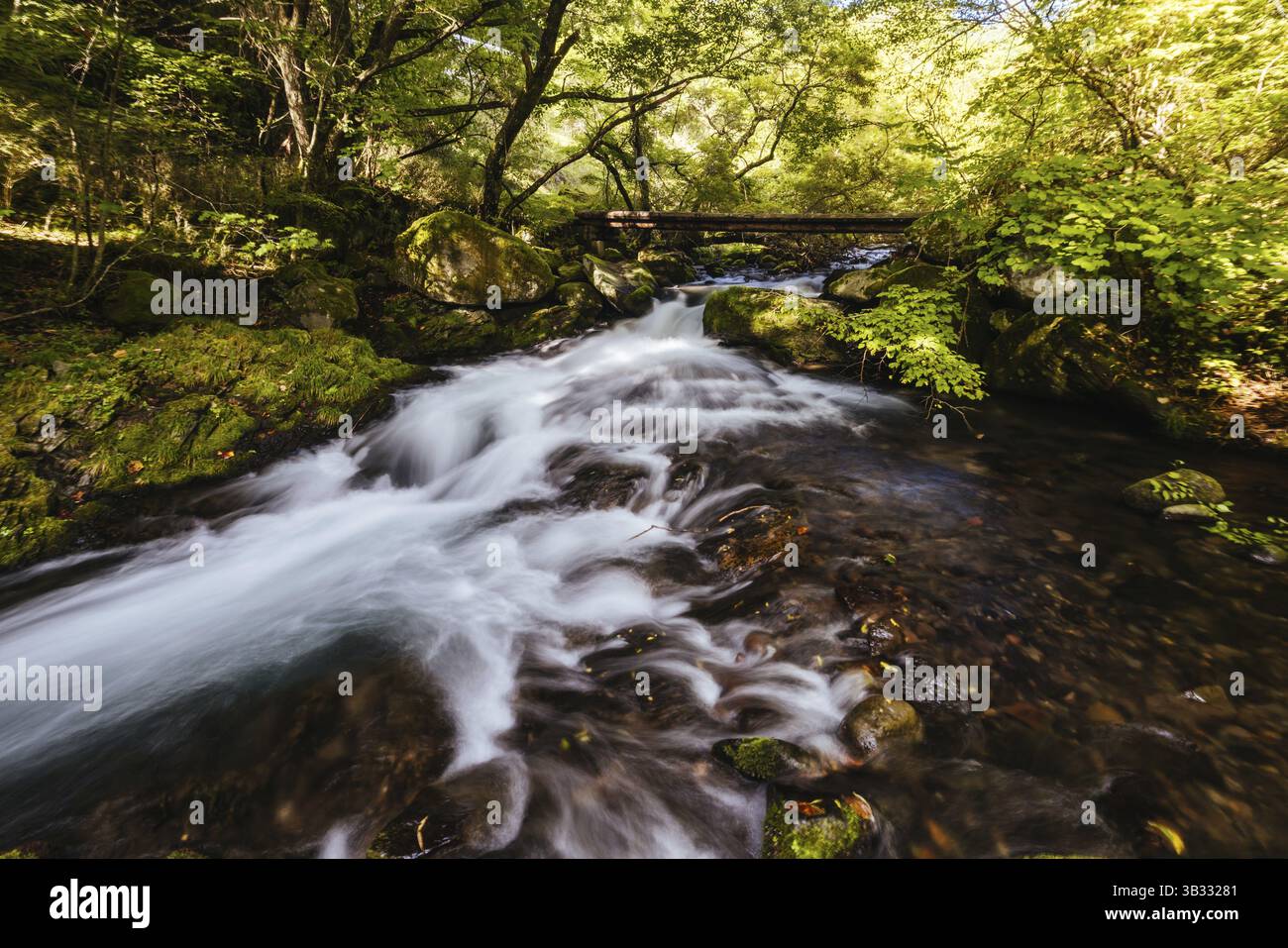 The magnificent Tateshina Otaki Falls on the famous Venus Line road ...